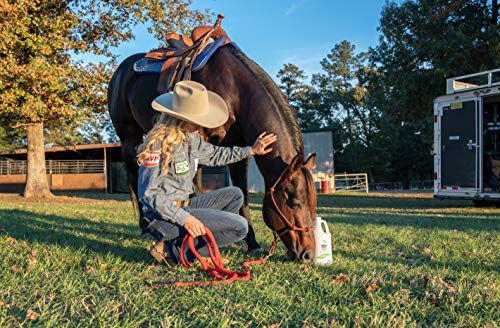 Draw It Out Liniment Gel - Veterinary Strength - Odorless and Colorless - Pain Relief Topical Analgesic Horse Cream for Joint and Muscle Pain - Natural Mineral - 64 oz