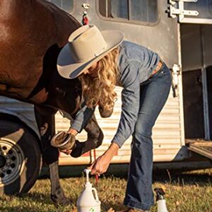 Draw It Out Liniment Gel - Veterinary Strength - Odorless and Colorless - Pain Relief Topical Analgesic Horse Cream for Joint and Muscle Pain - Natural Mineral - 64 oz