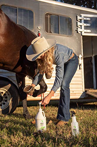 Draw It Out Liniment Gel - Veterinary Strength - Odorless and Colorless - Pain Relief Topical Analgesic Horse Cream for Joint and Muscle Pain - Natural Mineral - 64 oz