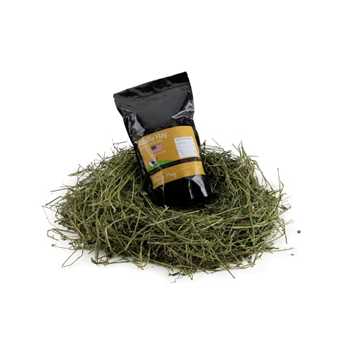 Rabbit Hole Hay Ultra Premium, Hand Packed Alfalfa for Your Small Pet Rabbit, Chinchilla, or Guinea Pig (4oz)