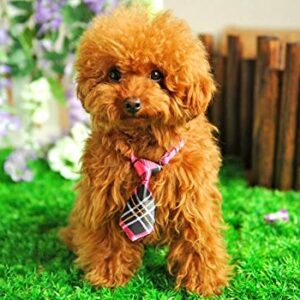 Lebbeen 10pcs/Pack,Cool Gentle Stylish Adjustable Pet Teddy Cat Dog Rabbit Bow Ties Necktie