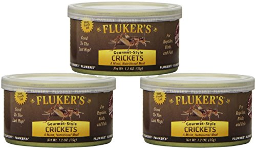 Fluker's Gourmet Canned Crickets 1.2oz (3 Pack)