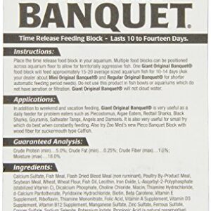 Zoo Med Laboratories Giant Banquet Block Feeder (3 Pack)