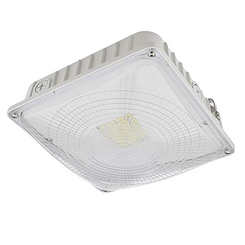 LEDwholesalers 45W LED Dimmable Outdoor Canopy Ceiling Light Fixture ETL-Listed, 100-240/277VAC, Daylight 5000K, 3921WH-R2