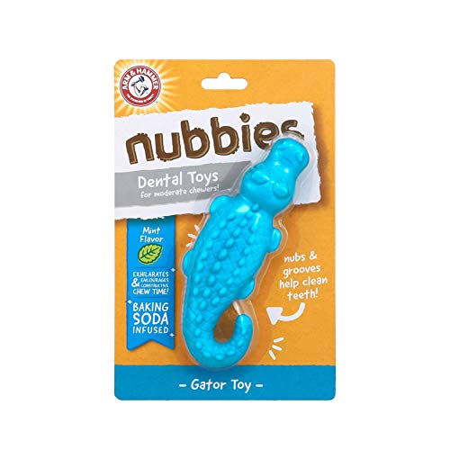 Arm & Hammer For Pets Nubbies Dental Toys Gator Dental Chew Toy for Dogs | Best Dog Chew Toy For Moderate Chewers | Reduces Plaque & Tartar Buildup Without Brushing, Gator