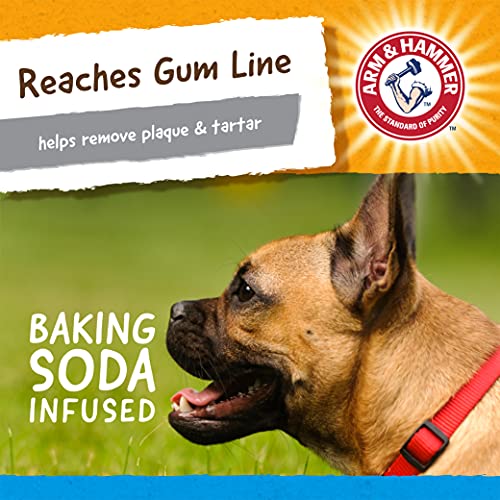 Arm & Hammer For Pets Nubbies Dental Toys Gator Dental Chew Toy for Dogs | Best Dog Chew Toy For Moderate Chewers | Reduces Plaque & Tartar Buildup Without Brushing, Gator