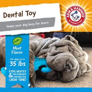 Arm & Hammer For Pets Nubbies Dental Toys Gator Dental Chew Toy for Dogs | Best Dog Chew Toy For Moderate Chewers | Reduces Plaque & Tartar Buildup Without Brushing, Gator