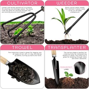 Gardening Tools Set - Stainless Steel Garden Tools with Shovel Trowel Fork Rake Weeder Water Mister, Gardening Gloves, Perfect Gardening Gift for Women