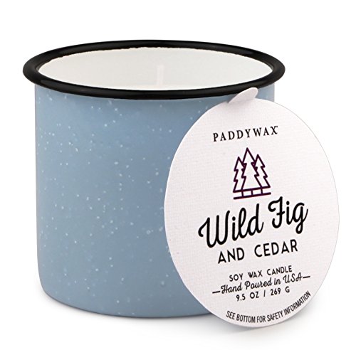 Paddywax Alpine Collection Scented Soy Wax Candle, 9.5-Ounce, Wild Fig and Cedar