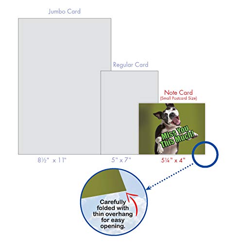 The Best Card Company - 10 Blank Assorted Notecards w/Envelopes (4 x 5.12 Inch) - Boxed Greetings with Dogs, Thinking of You Sentiments - Pet Puppies, Animal - Dog Miss You This Much M6600MYB