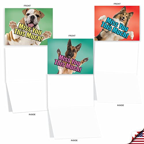 The Best Card Company - 10 Blank Assorted Notecards w/Envelopes (4 x 5.12 Inch) - Boxed Greetings with Dogs, Thinking of You Sentiments - Pet Puppies, Animal - Dog Miss You This Much M6600MYB