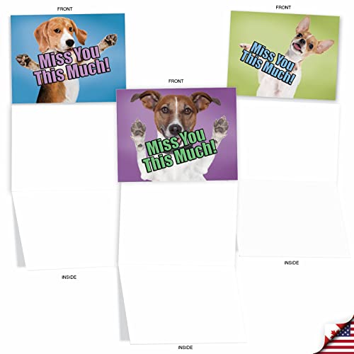 The Best Card Company - 10 Blank Assorted Notecards w/Envelopes (4 x 5.12 Inch) - Boxed Greetings with Dogs, Thinking of You Sentiments - Pet Puppies, Animal - Dog Miss You This Much M6600MYB