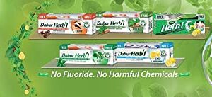 Dabur Toothpaste (Neem, 200 gm)