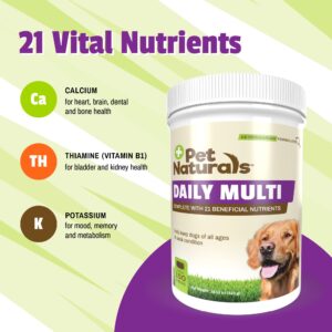 Pet Naturals Daily Multivitamin for Dogs, Veggie Flavor, 150 Chews - Yummy Chews with Amino Acids, and Antioxidants - Supports Energy, Metabolic Function and Pet Wellness