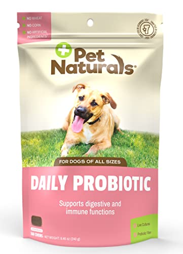 Pet Naturals Daily Probiotic for Dogs, Duck Flavor, 160 Bite Sized Chews - Vet Recommended Digestive and Immune Support Supplement