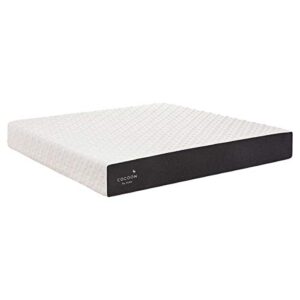 cocoon by sealy firm foam mattress, king