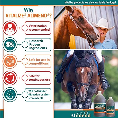 Alimend Stomach Support for Horses, 128 Fluid Ounce (3785 ml)