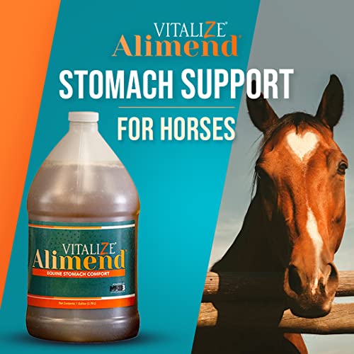 Alimend Stomach Support for Horses, 128 Fluid Ounce (3785 ml)