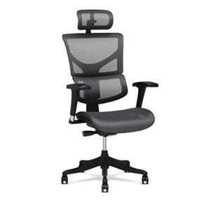 x-chair x1 high end task chair, grey flex mesh with headrest - ergonomic office seat/dynamic variable lumbar support/highly adjustable/relaxed recline/perfect for office or home desk