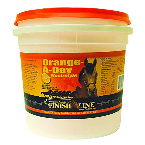 Finish Line Horse Mineral Electrolyte Supplement. Helps Keep horses Hydrated. No Sugars or Dyes added (Orange-A-Day)