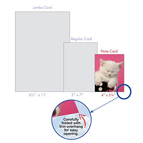 The Best Card Company - 10 Adorable Blank Cat Cards (4 x 5.12 Inch) - Cute Pet Kittens, Assorted Bulk Notecard Set - Cup-Cats M3969