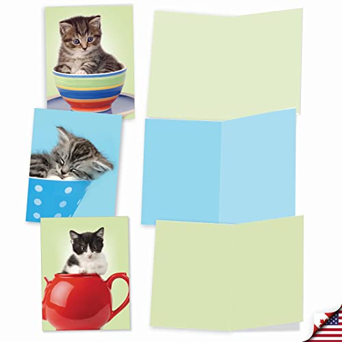 The Best Card Company - 10 Adorable Blank Cat Cards (4 x 5.12 Inch) - Cute Pet Kittens, Assorted Bulk Notecard Set - Cup-Cats M3969