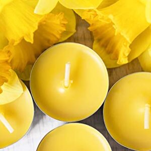 50 Citronella Oil Scented Tea Light Candles Indoor/Outdoor Up to 4 Hours Burn Time - 50 Pack