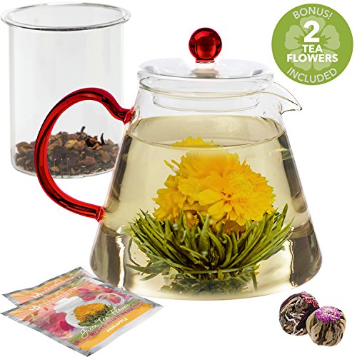 Teabloom Amore Glass Teapot – Stovetop Safe Glass Teapot with Removable Glass Infuser (34 OZ) – Two Blooming Tea Flowers Included