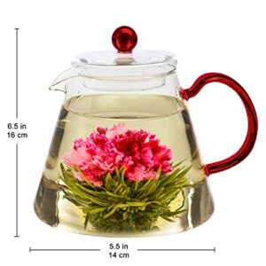 Teabloom Amore Glass Teapot – Stovetop Safe Glass Teapot with Removable Glass Infuser (34 OZ) – Two Blooming Tea Flowers Included