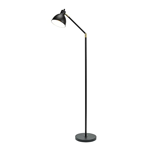 Catalina 20093-001 Modern Adjustable Metal Floor Lamp with Brass Accents, 54.5", Classic Black