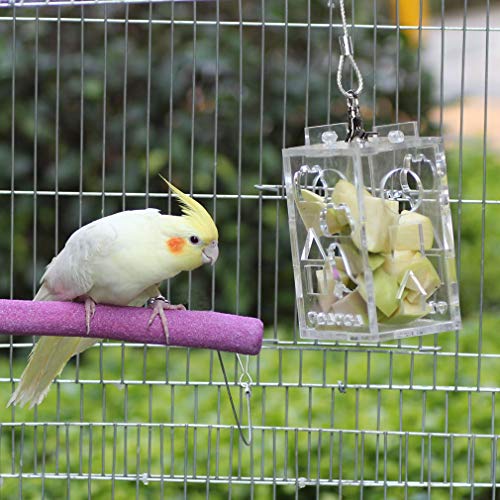 KINTOR Parrot Creative Foraging Toy Feeder Bird Cage, Big Size 4.8x3.6x2.6inch