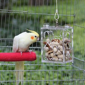 KINTOR Parrot Creative Foraging Toy Feeder Bird Cage, Big Size 4.8x3.6x2.6inch