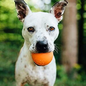 Planet Dog Orbee-Tuff Squeak Ball Orange Dog Fetch Toy