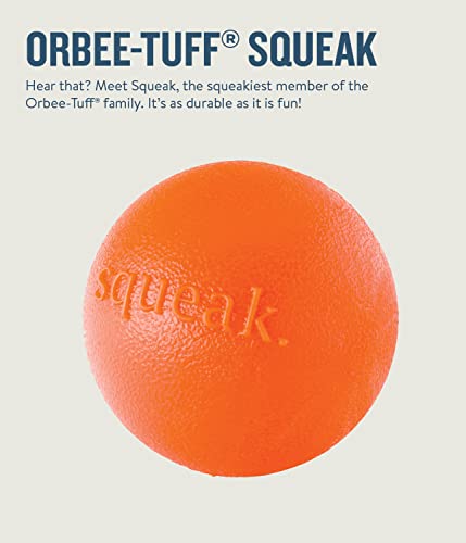 Planet Dog Orbee-Tuff Squeak Ball Orange Dog Fetch Toy