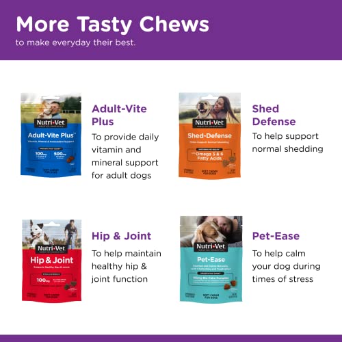 Nutri-Vet Pre and Probiotic Soft Chews for Dogs - Digestive Health Support Dog Probiotics - Tasty Liver and Cheese Alternative to Dog Probiotic Powder - 120 Soft Chews