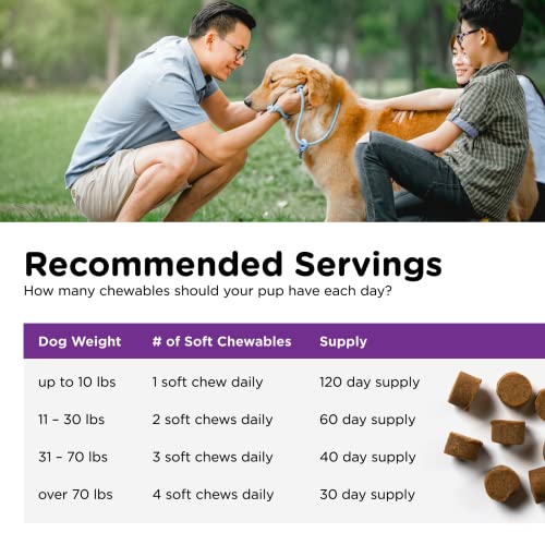 Nutri-Vet Pre and Probiotic Soft Chews for Dogs - Digestive Health Support Dog Probiotics - Tasty Liver and Cheese Alternative to Dog Probiotic Powder - 120 Soft Chews