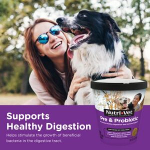 Nutri-Vet Pre and Probiotic Soft Chews for Dogs - Digestive Health Support Dog Probiotics - Tasty Liver and Cheese Alternative to Dog Probiotic Powder - 120 Soft Chews