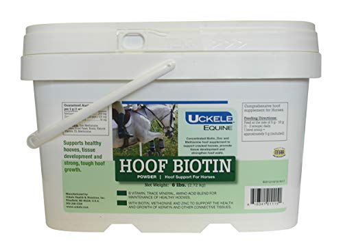 Uckele Hoof Biotin - Hoof Support for Horses - 6 pound (lb)