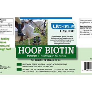 Uckele Hoof Biotin - Hoof Support for Horses - 6 pound (lb)