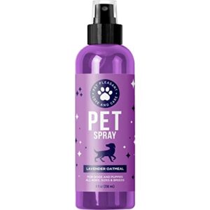 lavender oil dog deodorizing spray - dog spray for smelly dogs and puppies and dog calming spray with lavender essential oil - lightly scented dog deodorizer for smelly dogs and dog essentials