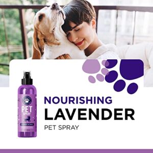 Lavender Oil Dog Deodorizing Spray - Dog Spray for Smelly Dogs and Puppies and Dog Calming Spray with Lavender Essential Oil - Lightly Scented Dog Deodorizer for Smelly Dogs and Dog Essentials