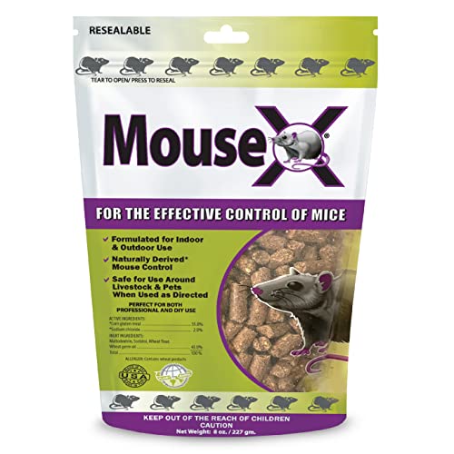 EcoClear Products 620200-6D MouseX All-Natural Poison Free Humane for Rats and Mice, 8 oz. Bag