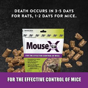 EcoClear Products 620200-6D MouseX All-Natural Poison Free Humane for Rats and Mice, 8 oz. Bag