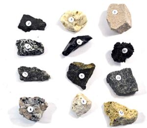 eisco igneous rocks kit - contains 12 specimens measuring approx. 1" (3cm)