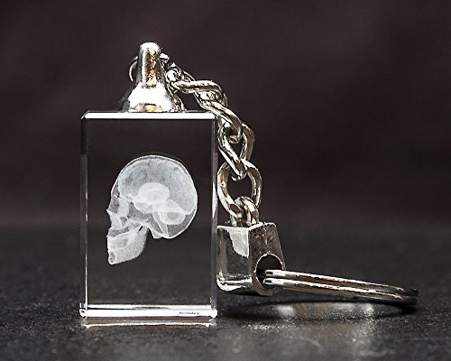 Blue Tree Publishing Skull and Brain 3d Laser Key Chain Crystal, Anatomy