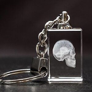 Blue Tree Publishing Skull and Brain 3d Laser Key Chain Crystal, Anatomy