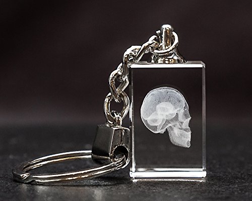 Blue Tree Publishing Skull and Brain 3d Laser Key Chain Crystal, Anatomy