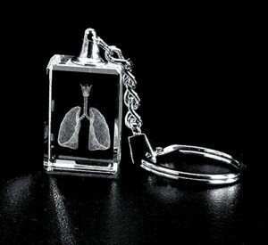 blue tree publishing lungs 3d laser key chain crystal, anatomy, larynx