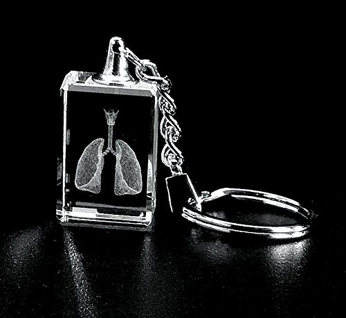 Blue Tree Publishing Lungs 3d Laser Key Chain Crystal, Anatomy, Larynx