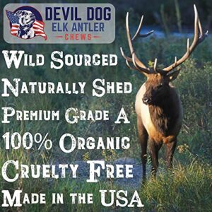 Devil Dog Pet Co Antler Dog Chew - Premium Elk Antlers for Dogs - Long Lasting Dog Bones for Aggressive Chewers - No Mess No Odor - Wild Shed in The USA - Veteran Owned (Medium)